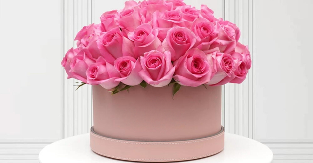 What is a Bloom Box? Meaning, Uses & Cultural Significance